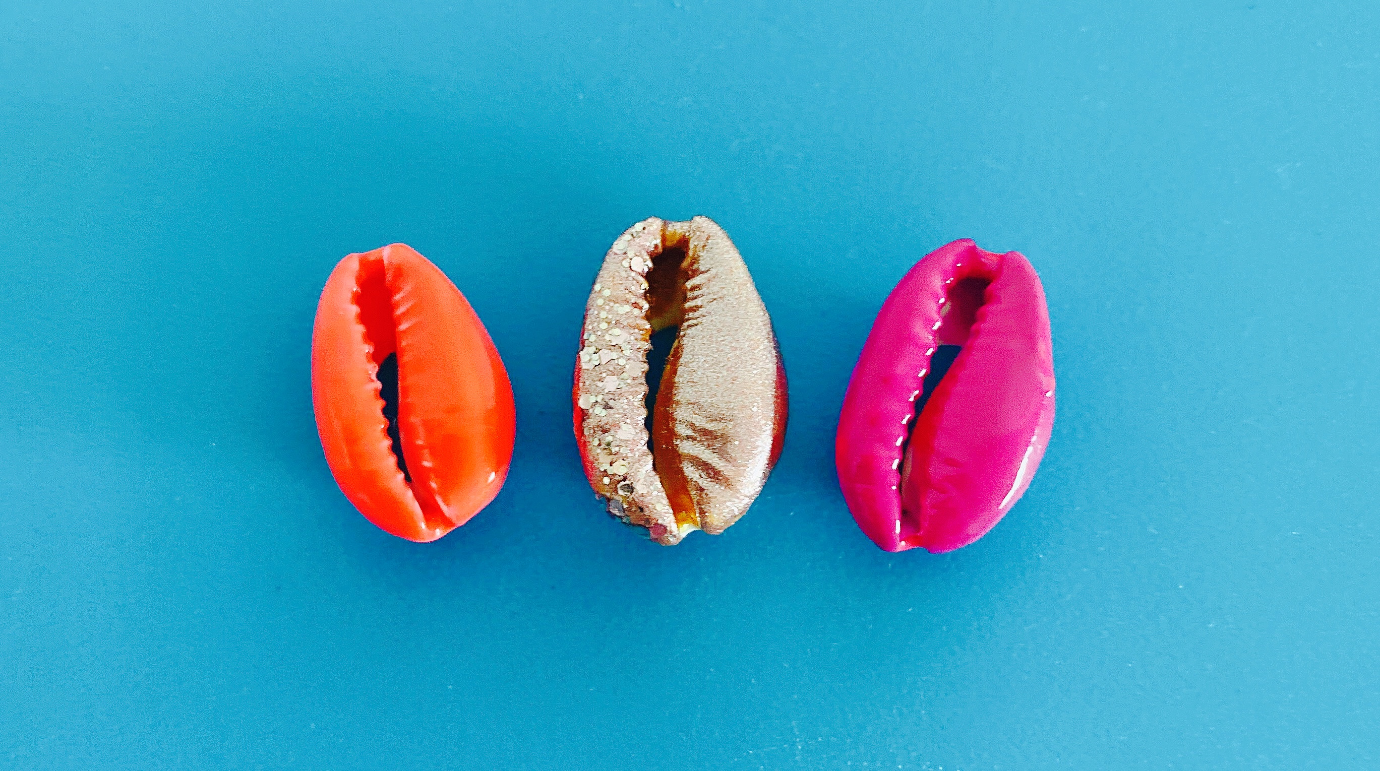 How to color or paint cowrie seashell – Tribe of Laszlo