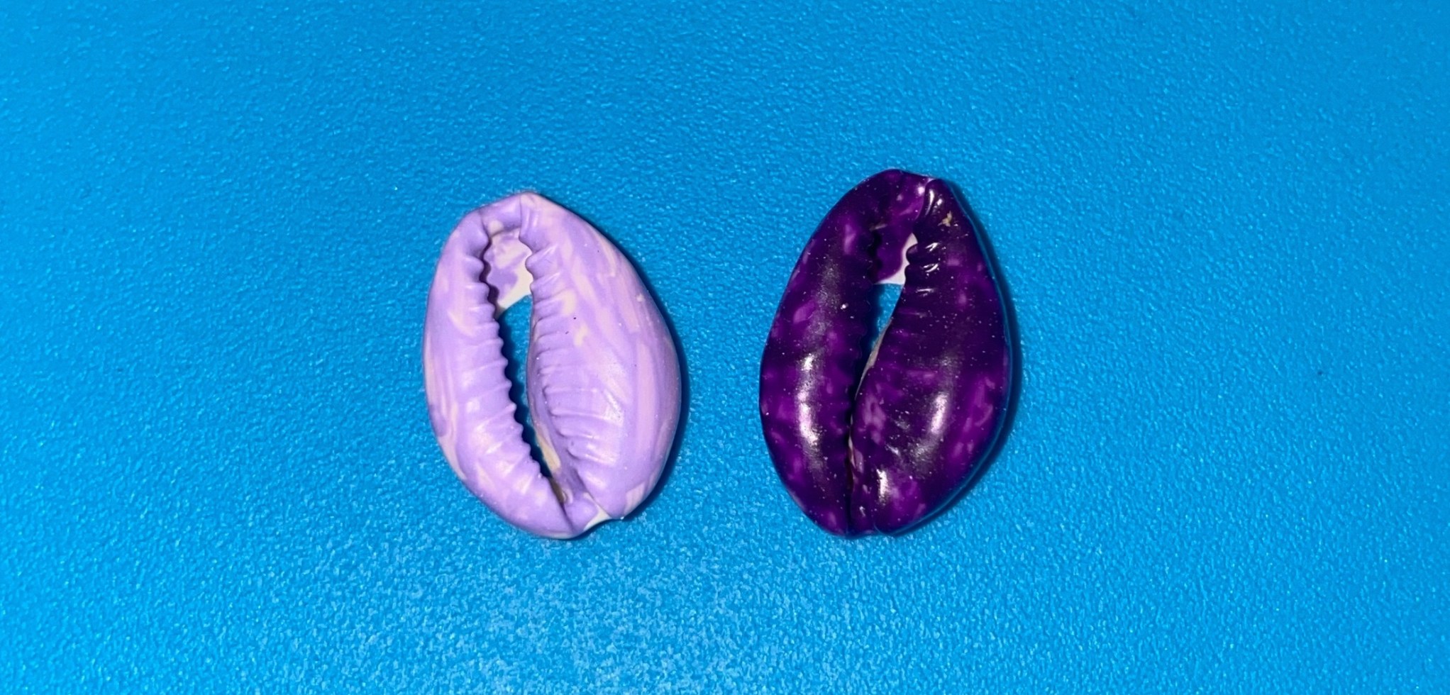 How to color or paint cowrie seashell – Tribe of Laszlo